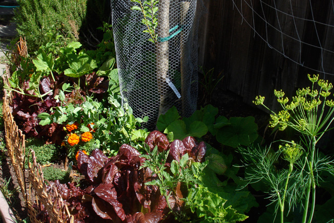 Robyn Pope Child Friendly Gardens robyn-pope-child-friendly-gardens
